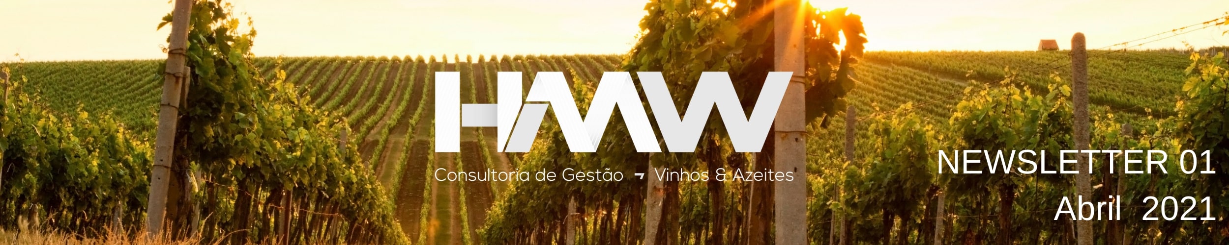 Newsletter 01 | HMW - HMW